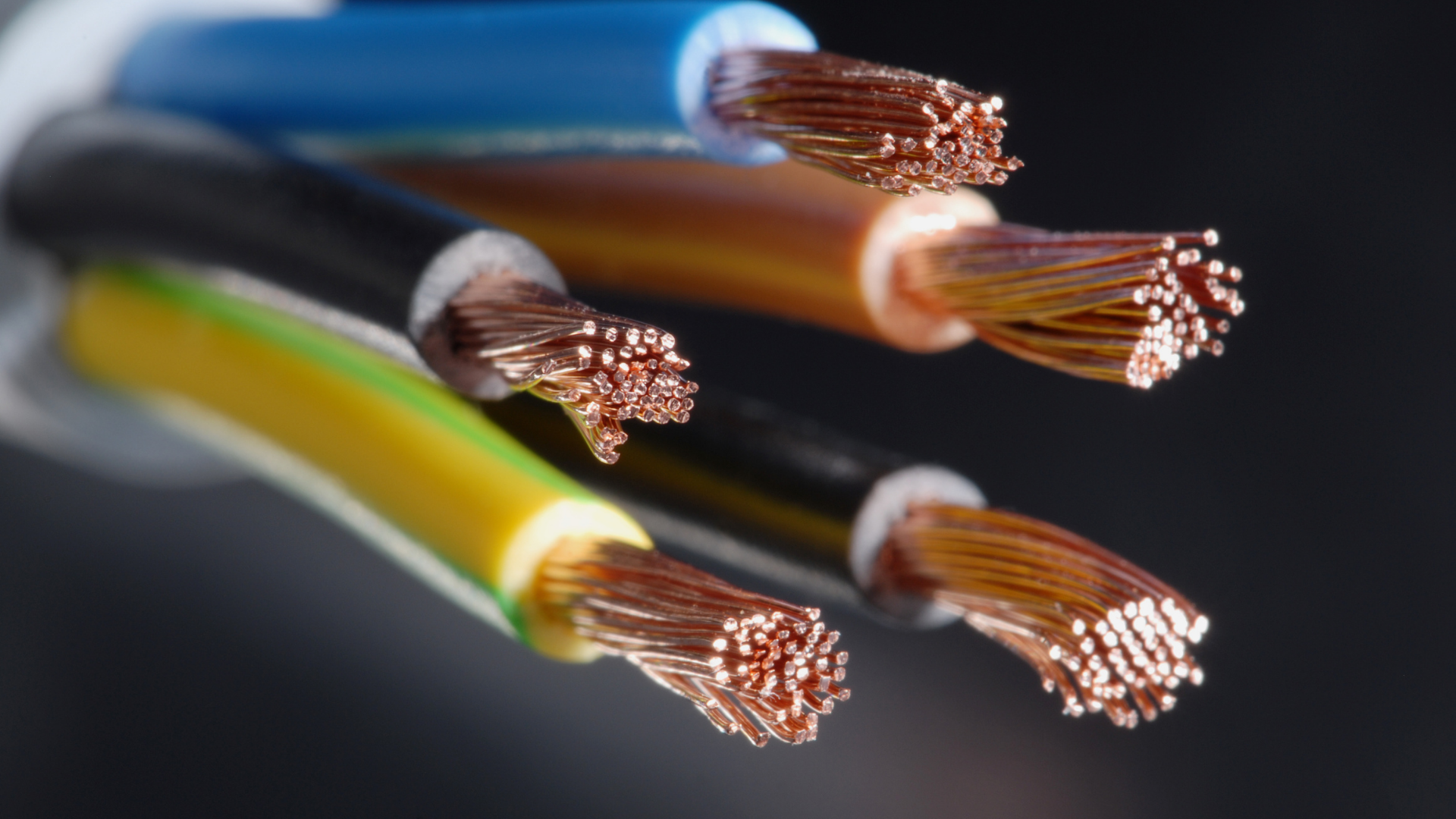 Productos eléctricos en General Roca con Complementos Eléctricos S.R.L.