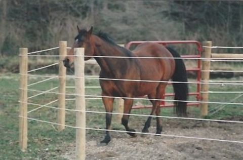 fencing installation materials