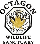 About Us Octagon Wildlife Sanctuary