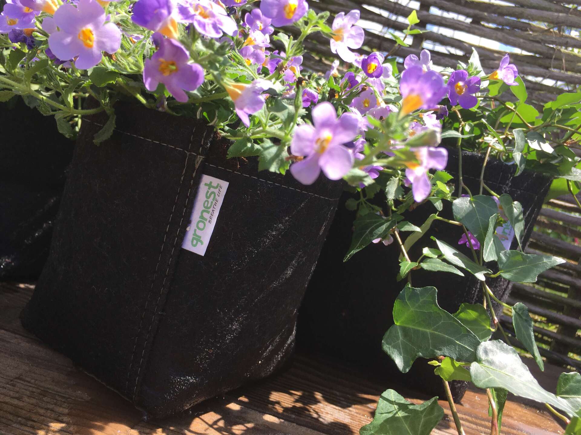 Coming Soon! [www.grow-win.com]