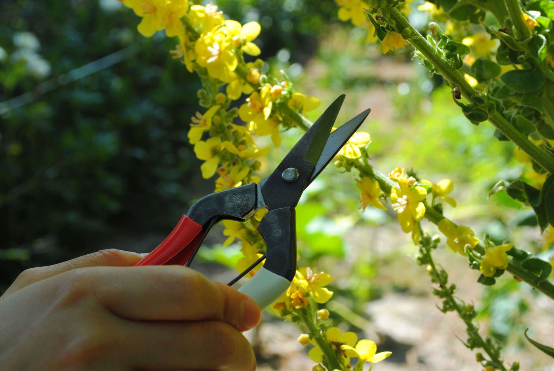 Coming Soon! [www.grow-win.com]