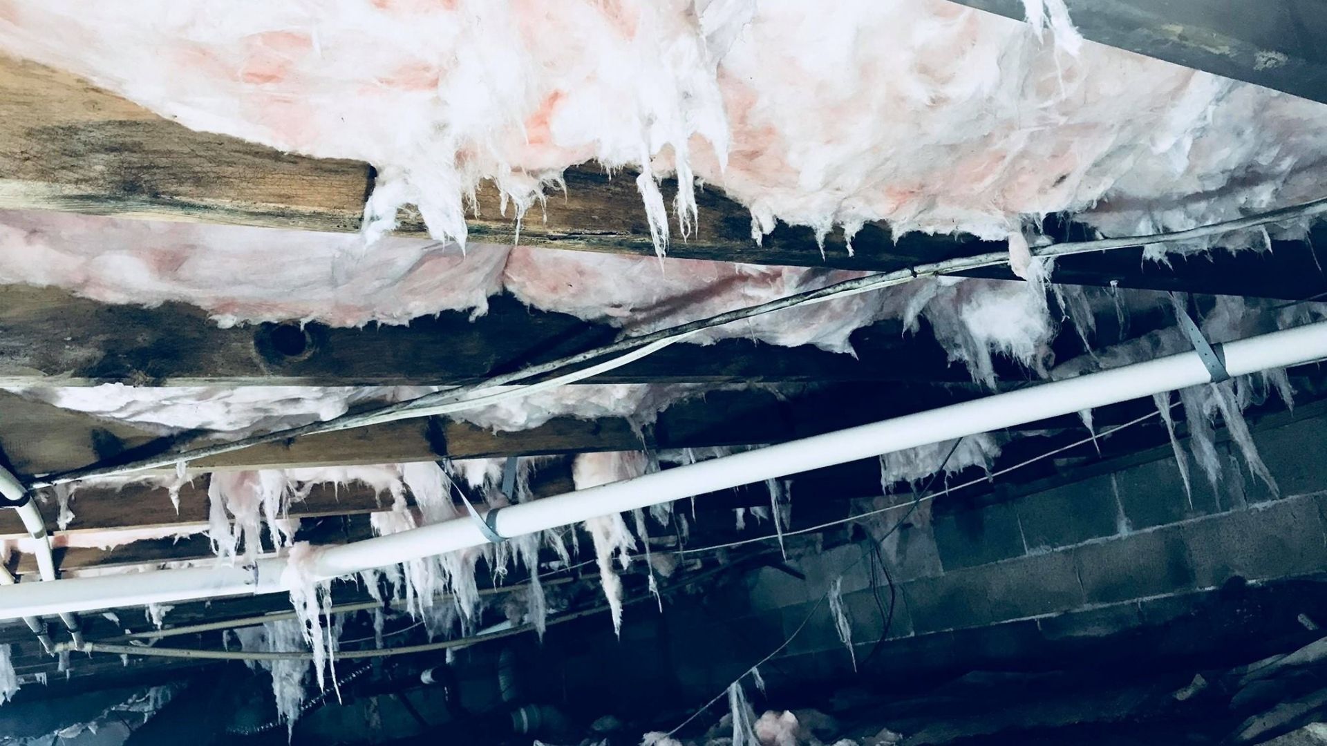 Durham Crawl Space Encapsulation, Mold Removal, and Waterproofing ...