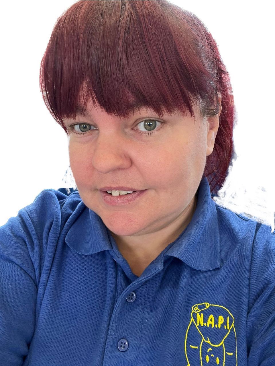 North East Action for Children Parents and Inclusion | NAPI