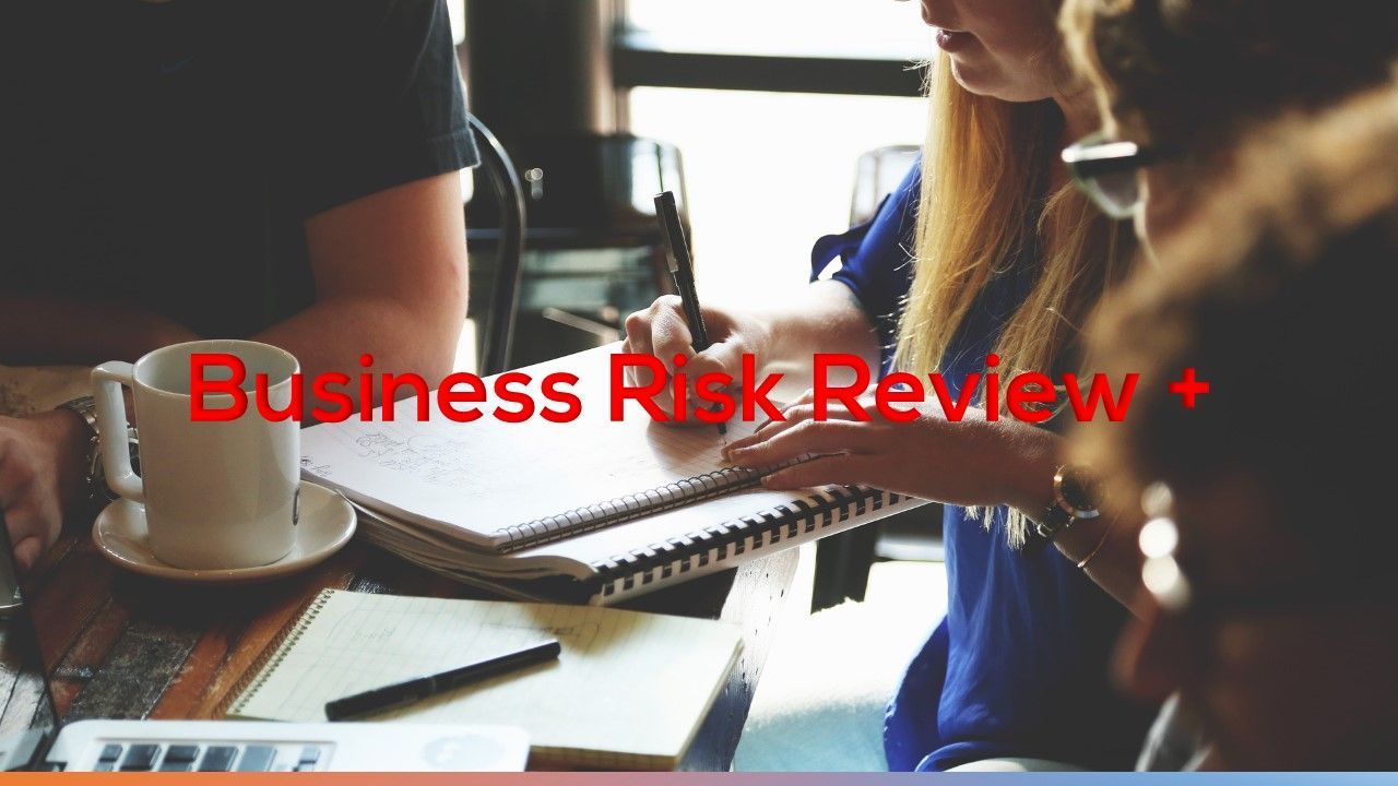 Business Risk Review + : Risk Management