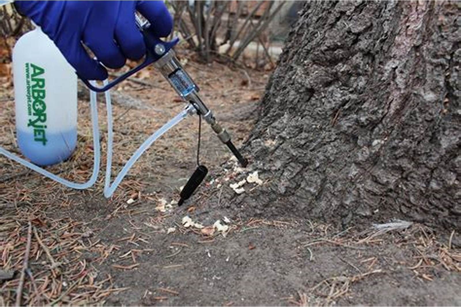 Residential | Melbourne, VIC | Precise Tree Services