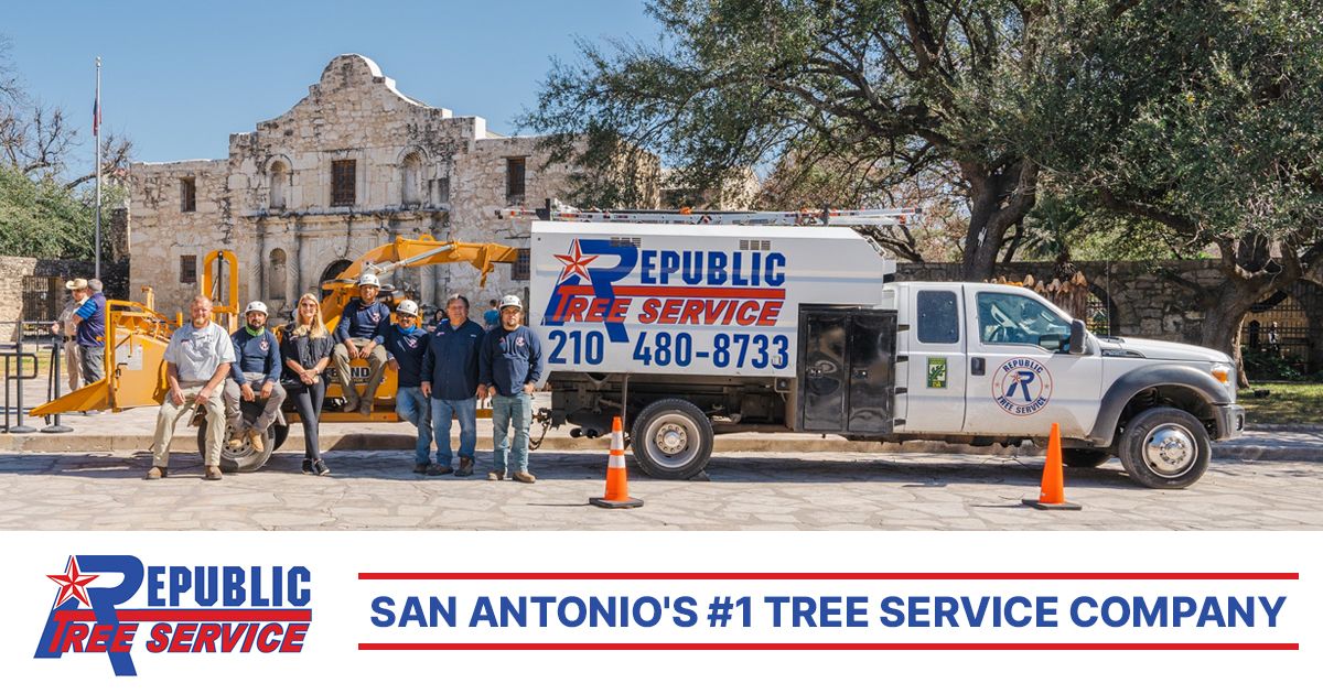 Republic Tree Service | San Antonio's #1 Tree Service Company