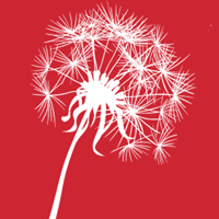 Impressum - Bestattungen Alfred Roth