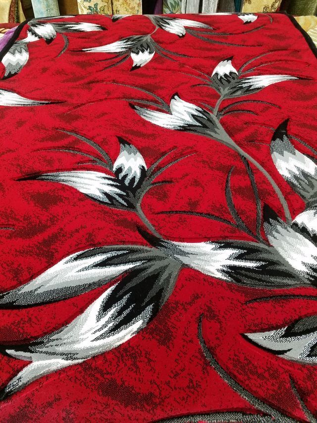 Traditional & Tropical Area Rugs in Crystal River & Spring Hill, FL