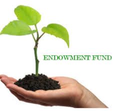 The Endowment Investment Model