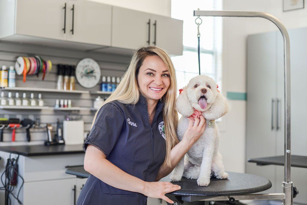 The Paws Fur Grooming Team