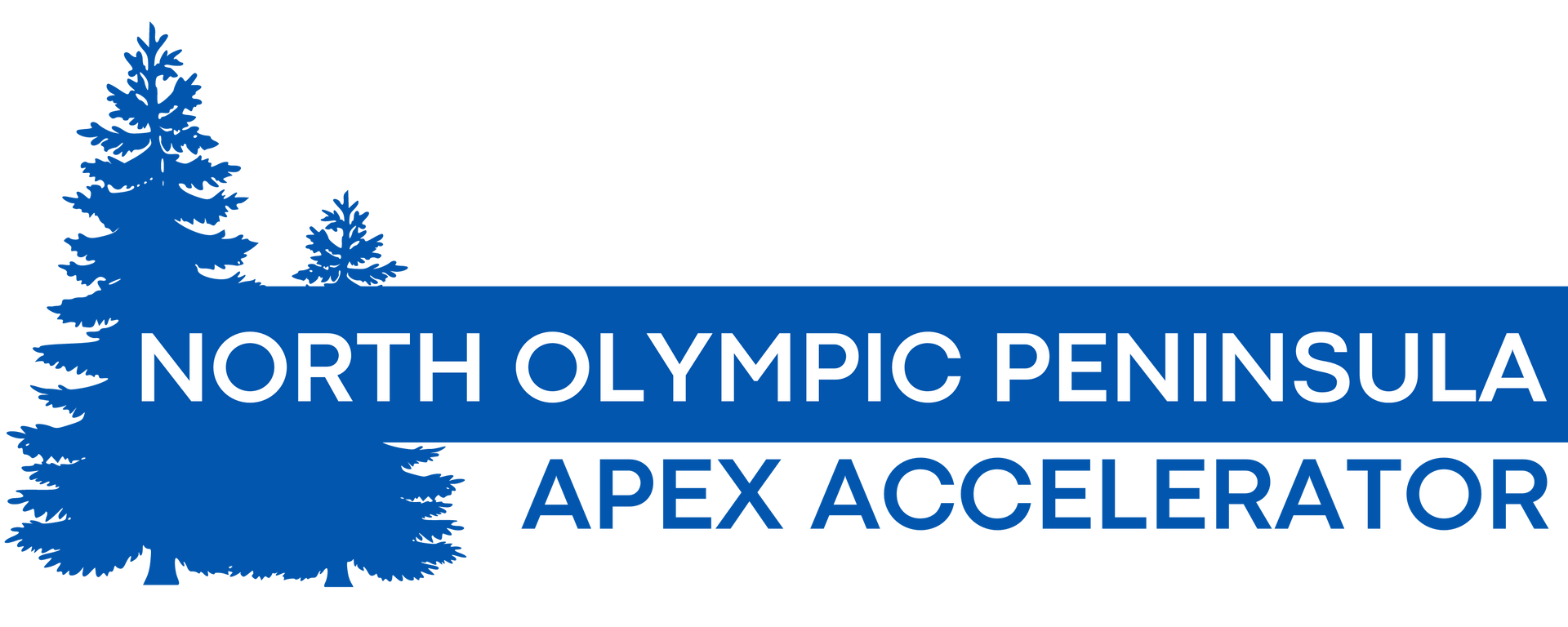 APEX Accelerator