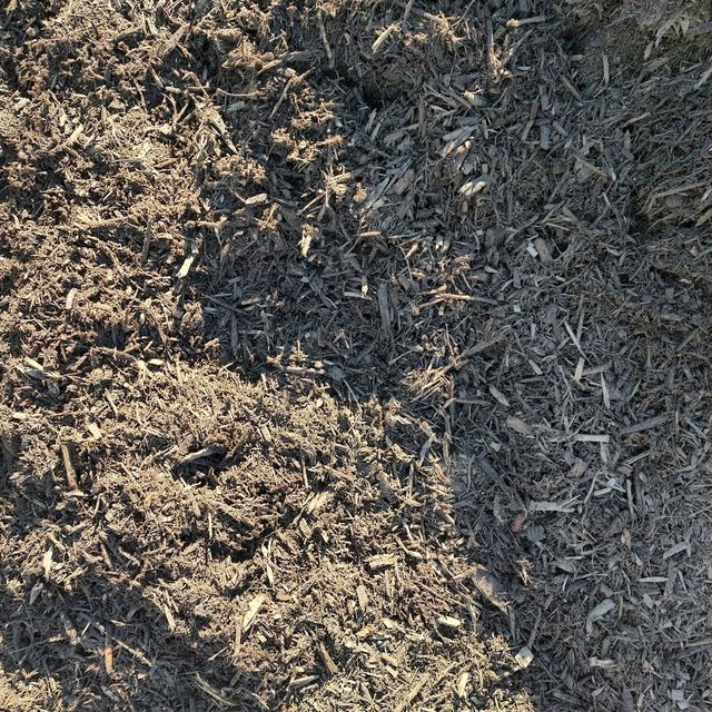 Black Walnut Mulch