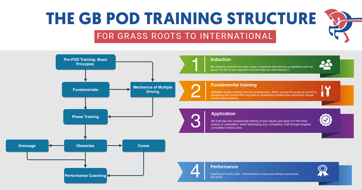 Training | GB POD | Equine Carriage Driving