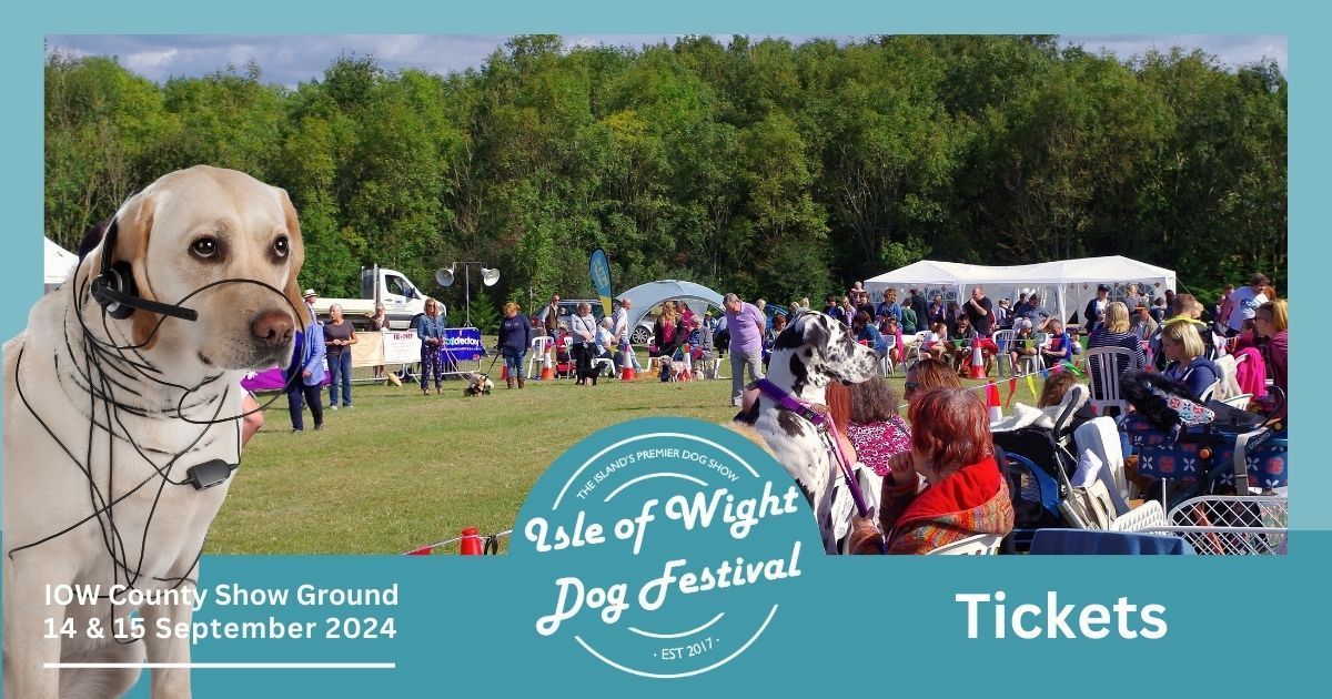 Newfoundland Dog Festival