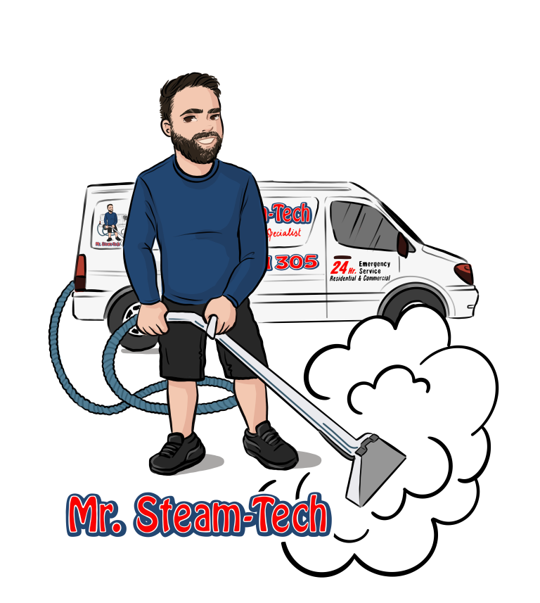 About Us | Mr. Steam Tech