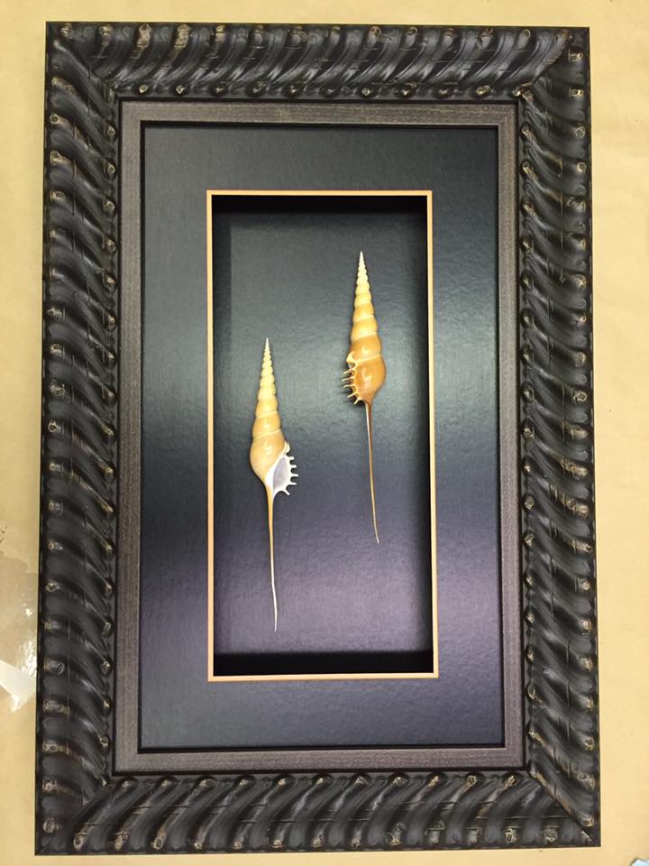 Picture Framing | Anchorage, AK | Denali Graphics & Frame