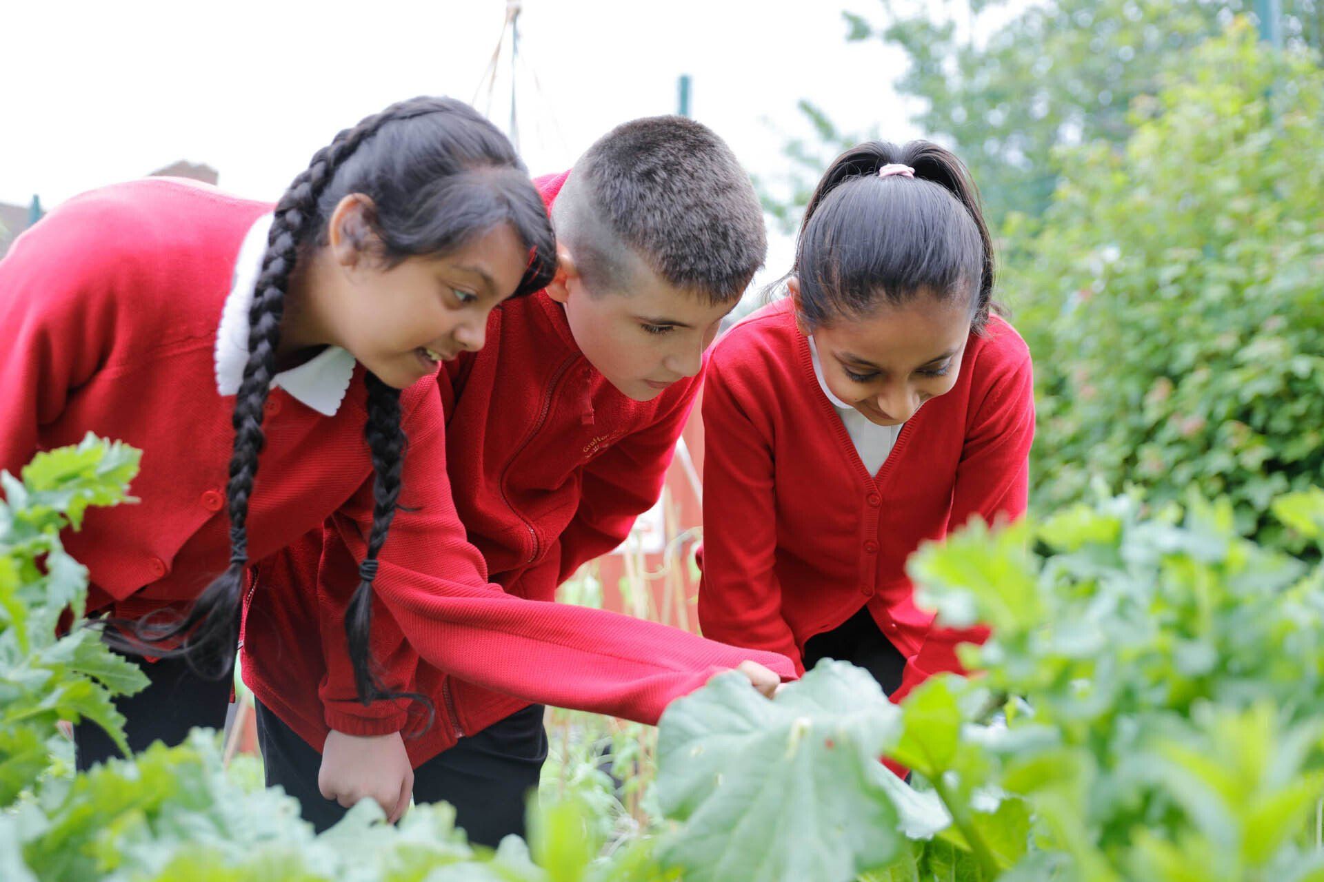 Grafton Primary School