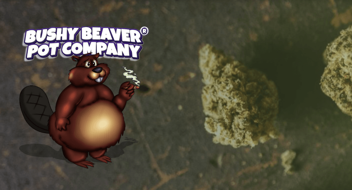 The Bushy Beaver Pot Company - A Popular Dispensary in Shawnee, Oklahoma