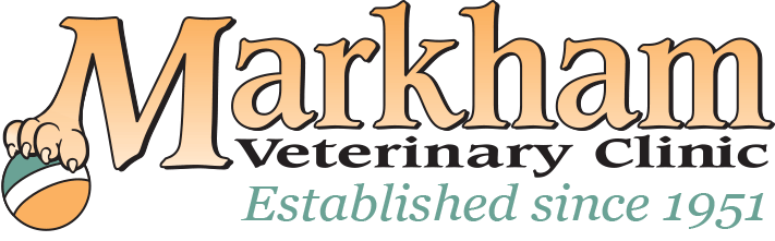 Vet Clinic in Markham & Unionville, ON | Animal Hospital