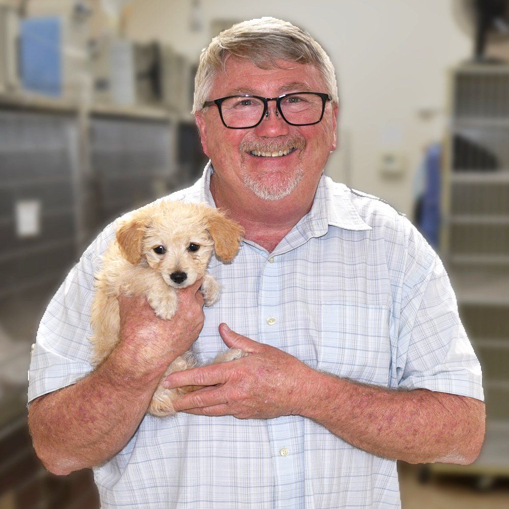 Pet Hospital Staff | Newbury Park, CA | Midtown Veterinary Clinic