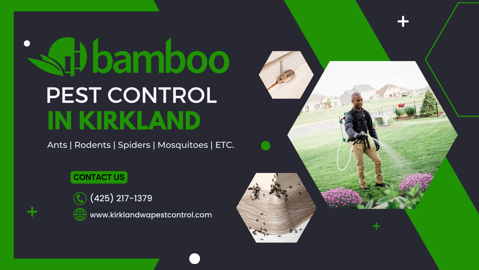 Our Pest Control Services - Kirkland Pest Control by Bamboo - Reliable ...