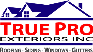 Home [www.trueproexteriorsinc.com]