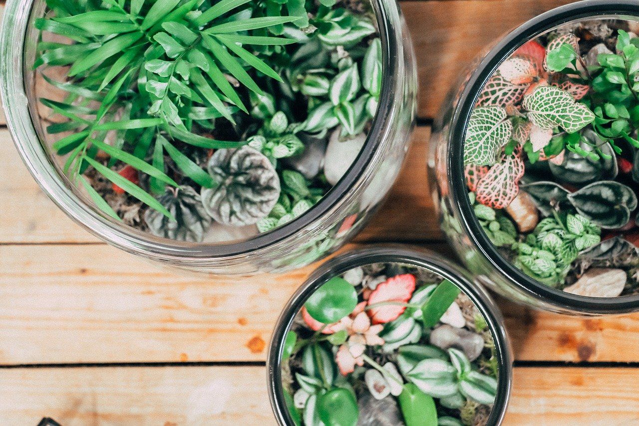 Make Your Own Ecosystem