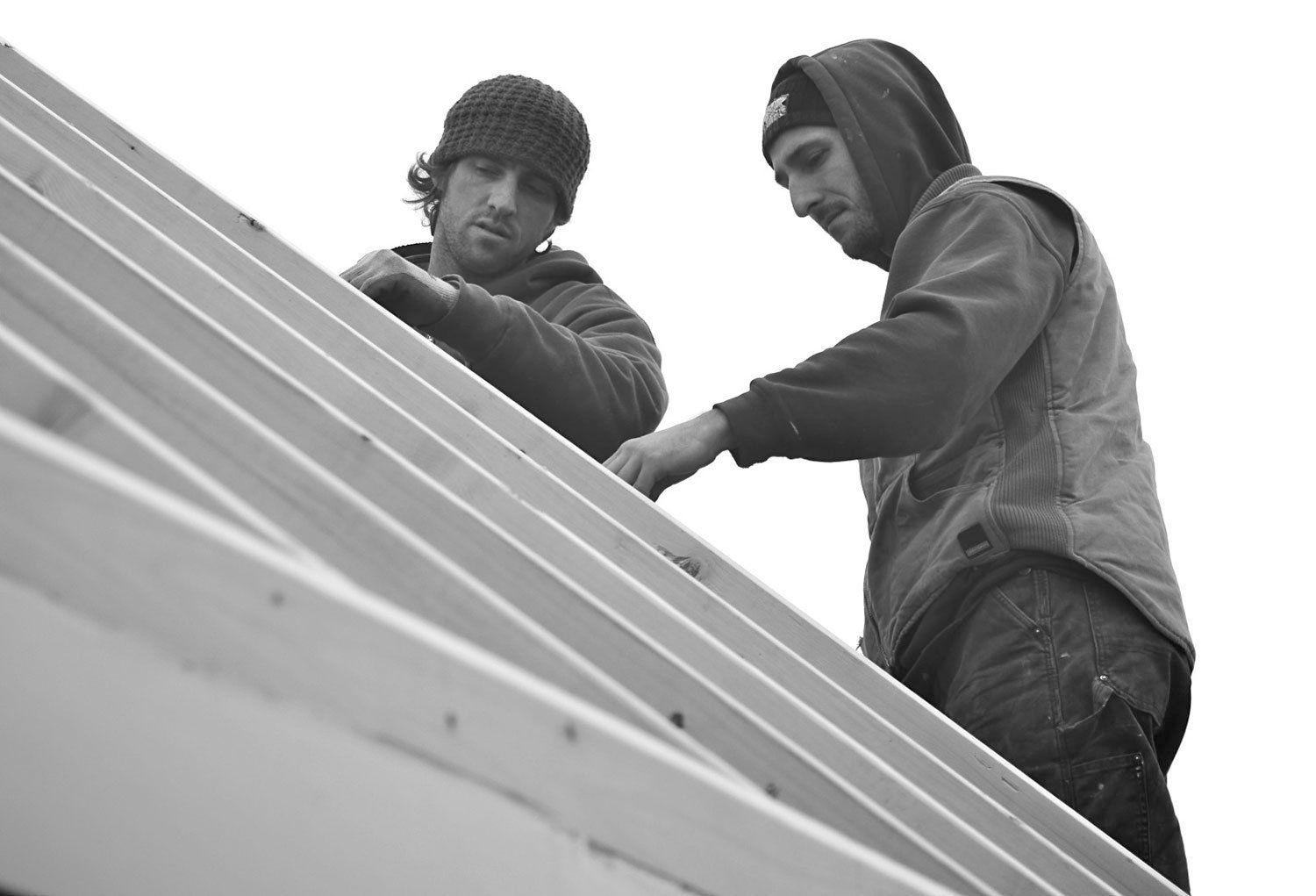 Shelter 7 | Contact Us