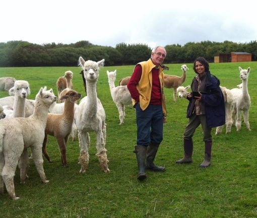 EKOALPAKA,Alpaca Clothing brand, made in the UK