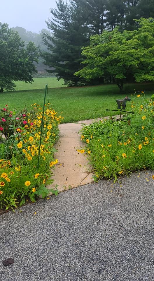 Lawn Care | Manchester, MD | Jason Lawn & Landscaping LLC