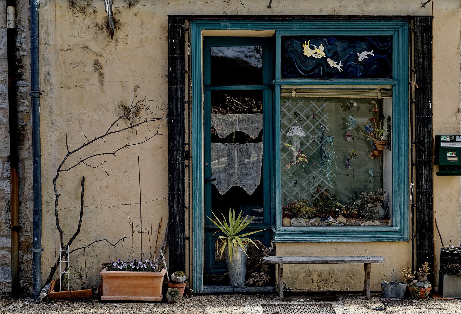 Discover Stephen Harper Fine Art Photographic Prints and Exhibitions