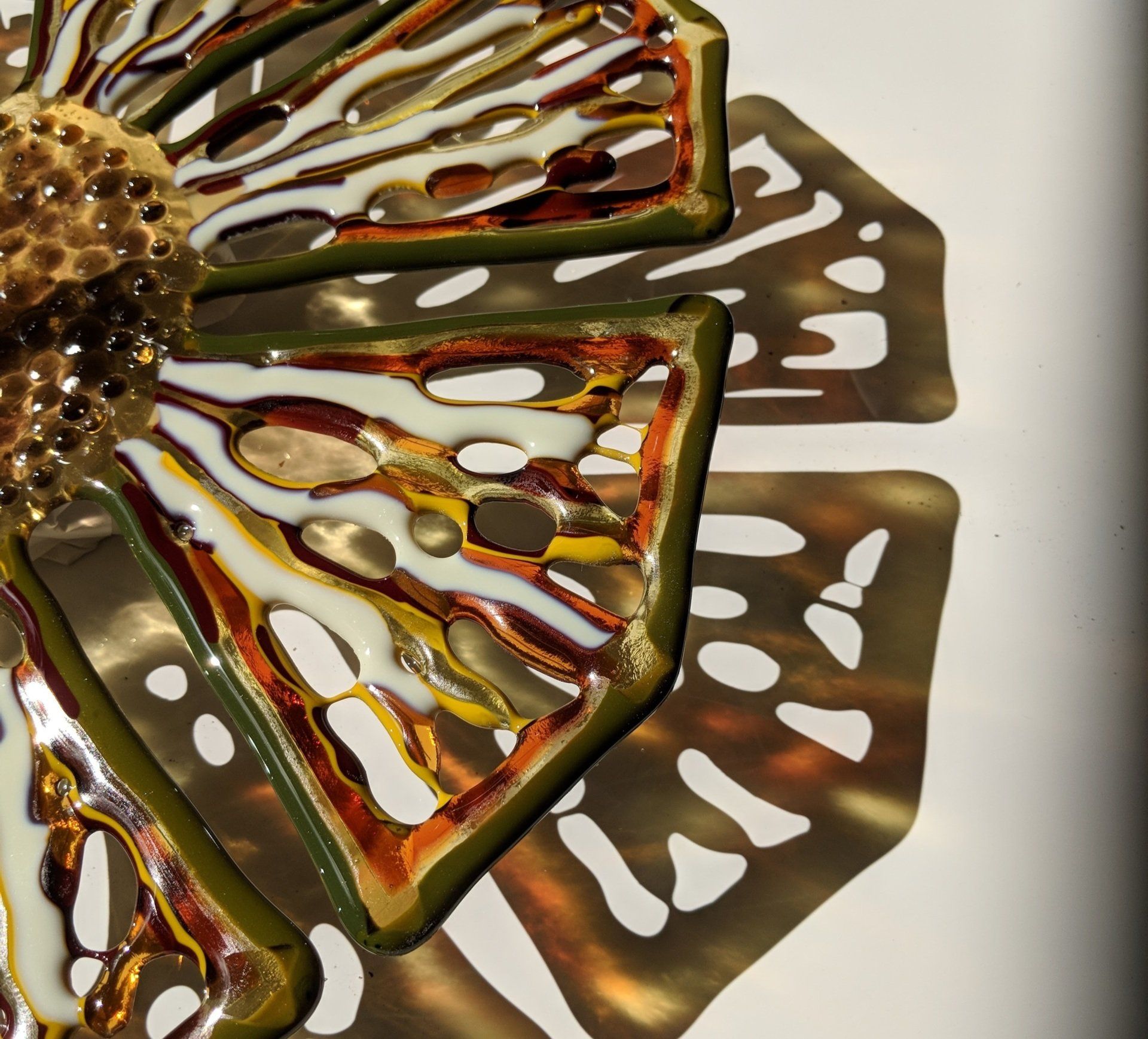 FIONA COLLINS | Greenhouse