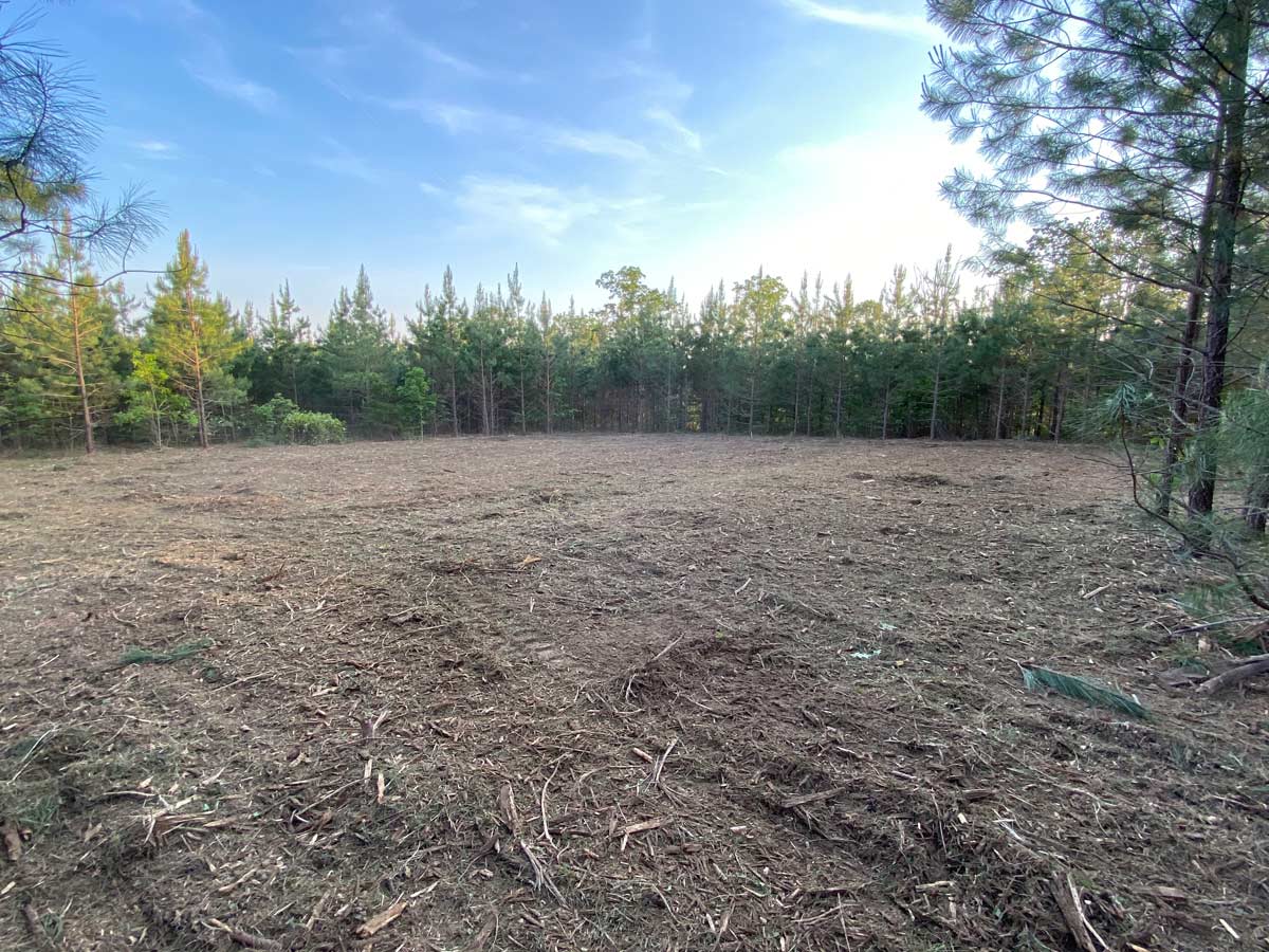 Landscape Services | Forest, VA | Heckman Landworks