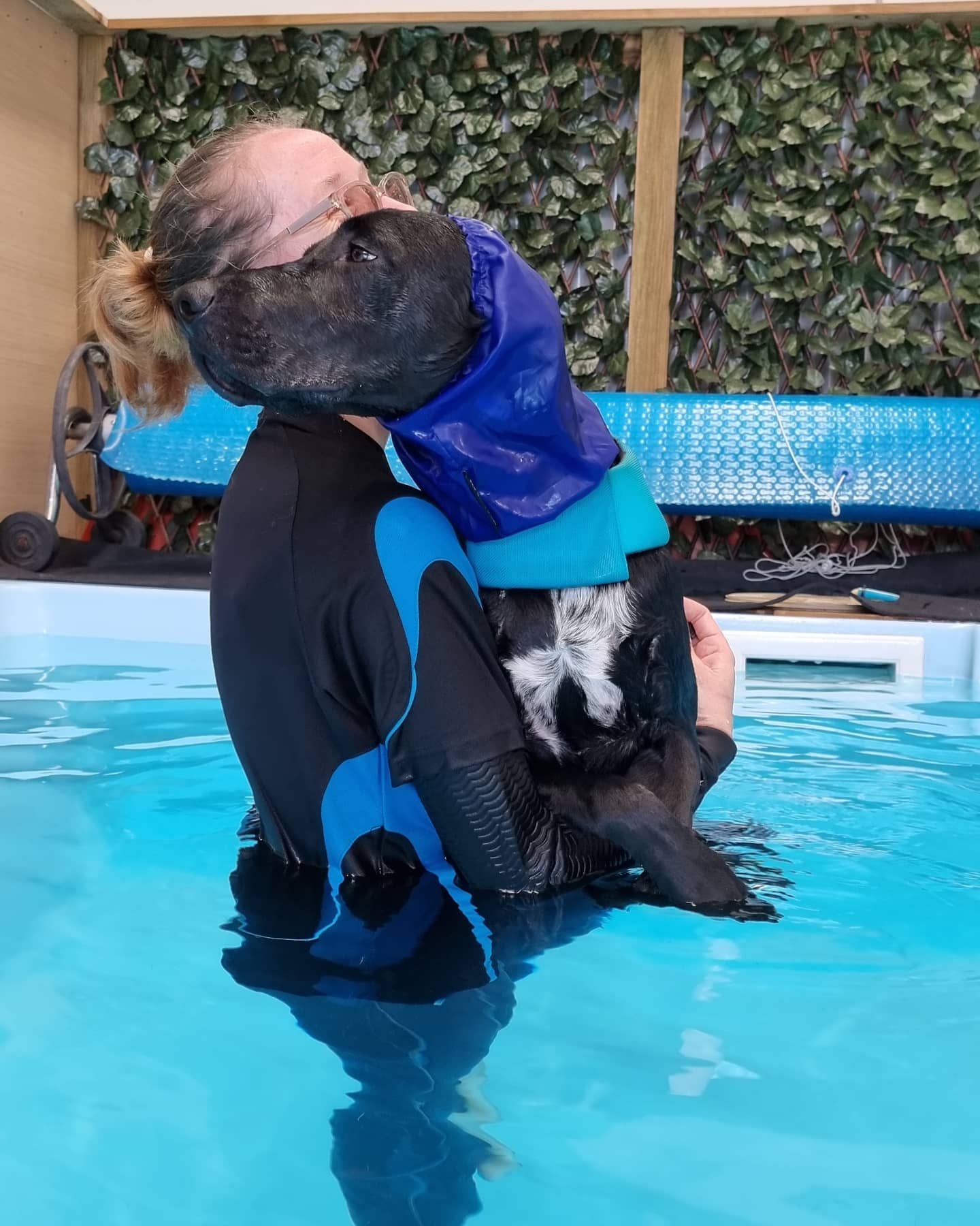 Wollongong Dog Hydrotherapy Pool | Water Walkies