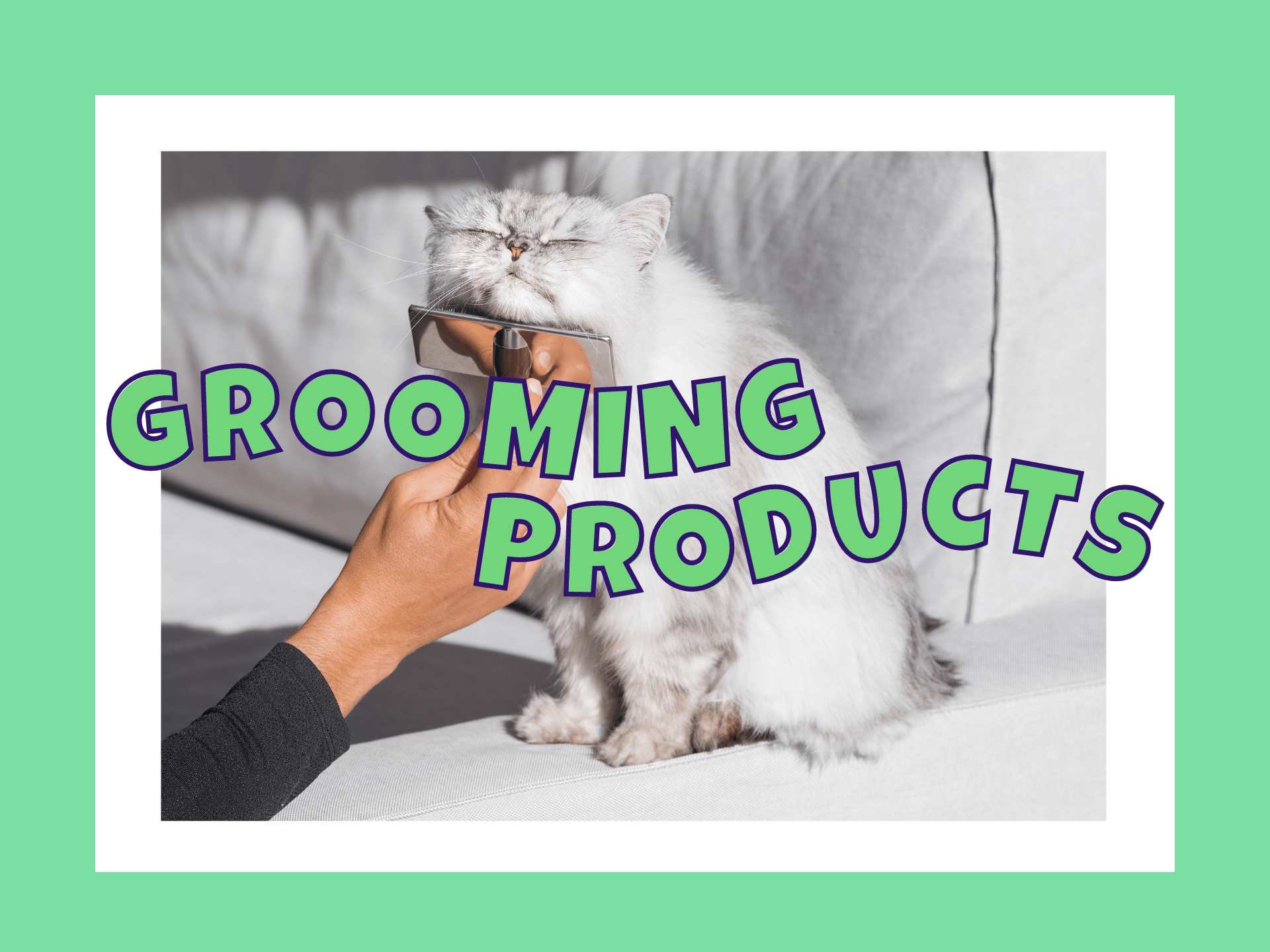 Cat Products | Pet Wize