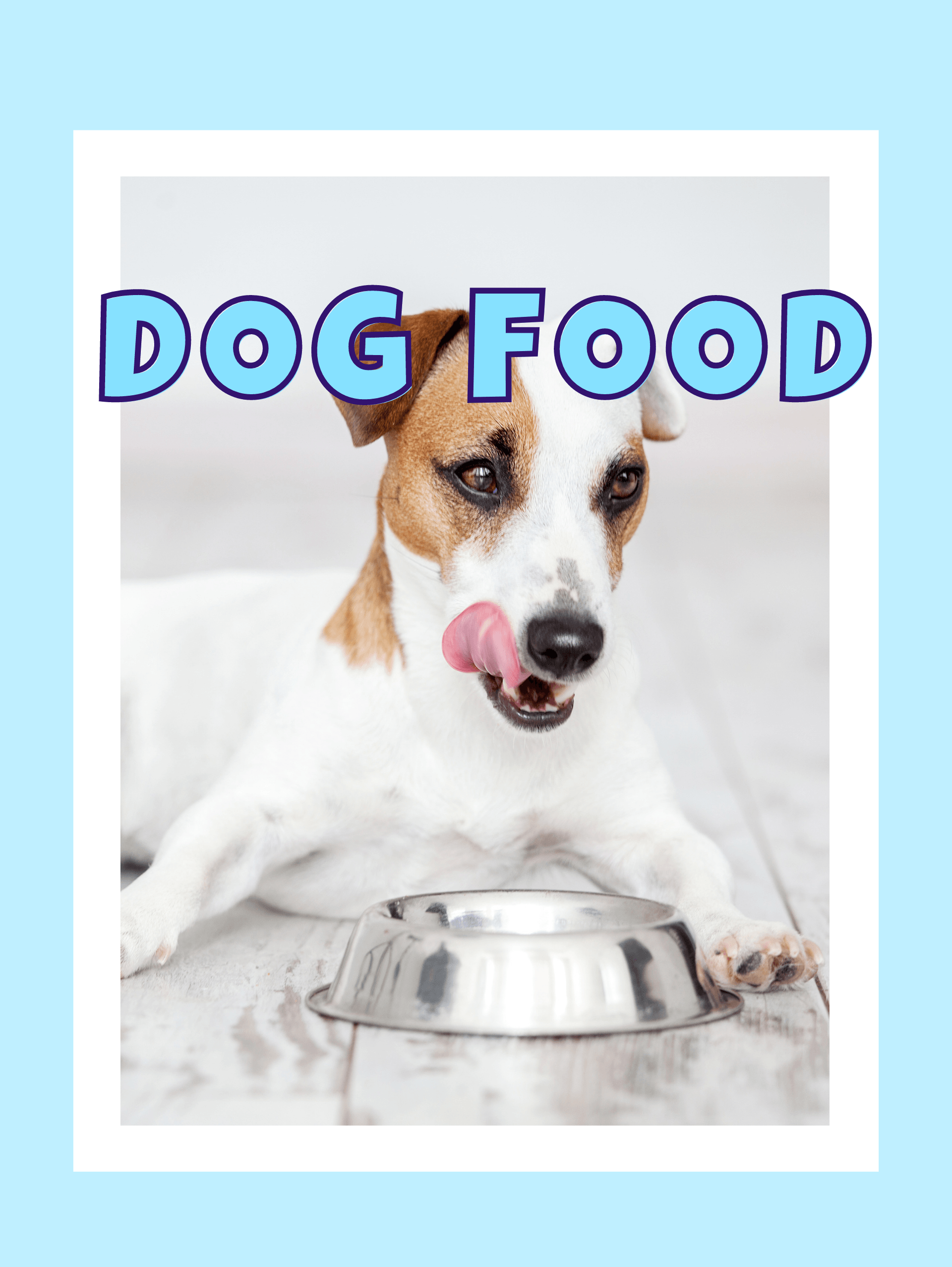 Dog Products | Pet Wize