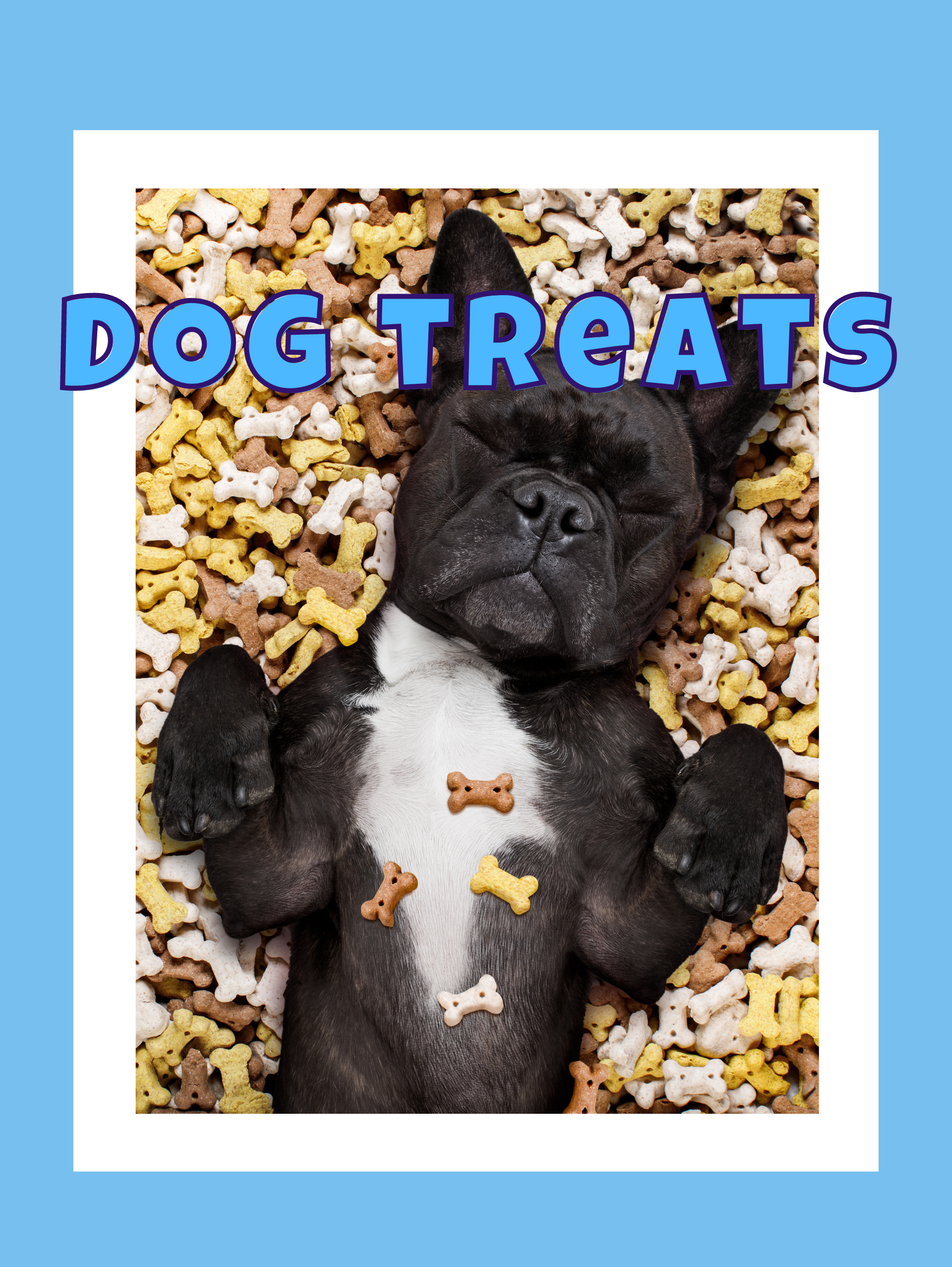 Dog Products | Pet Wize
