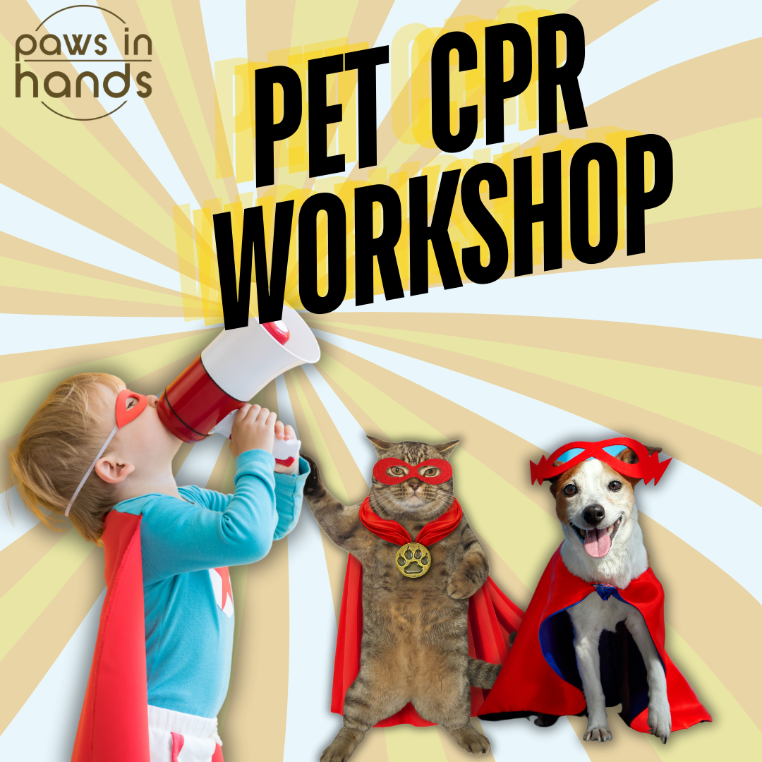 Paws in Hands Pet CPR Workshop