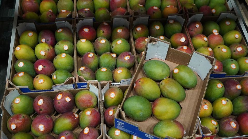 Soully Organic - Heath & Lejeune Organic Produce