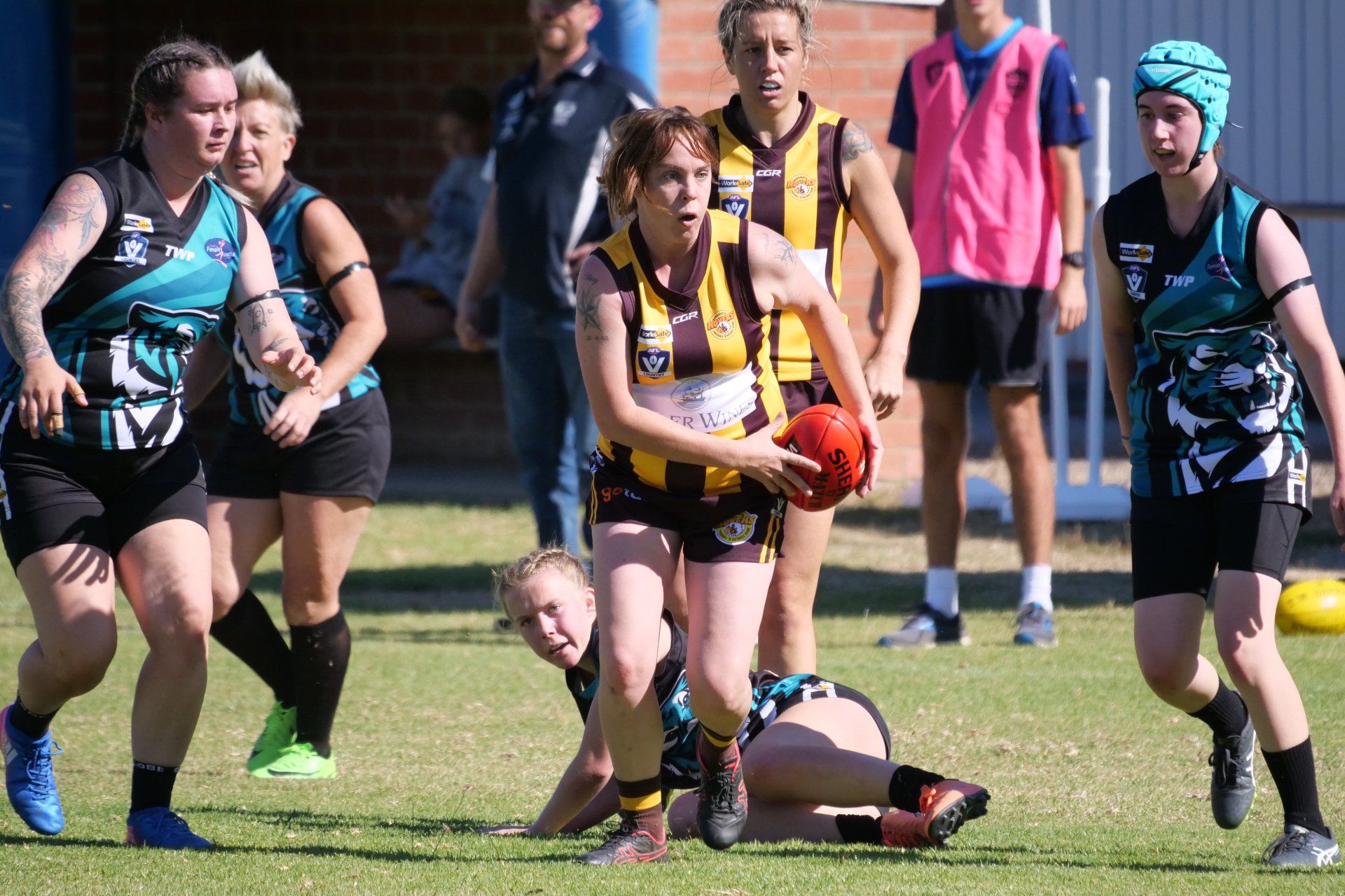 AFL North East Border | AFLNEB