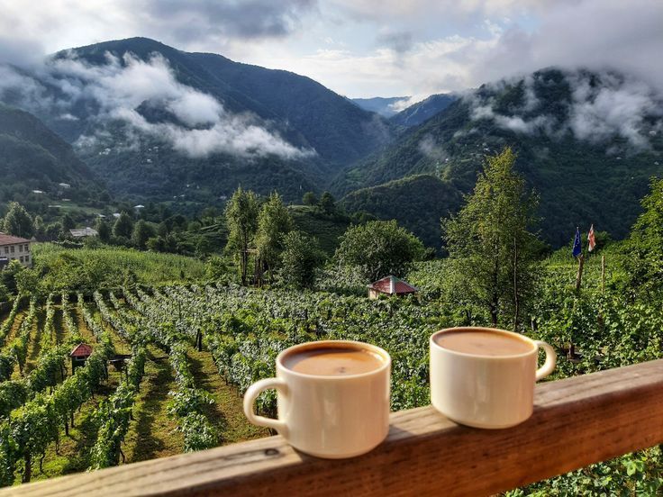 Transform Your Mornings with These 5 Easy Steps