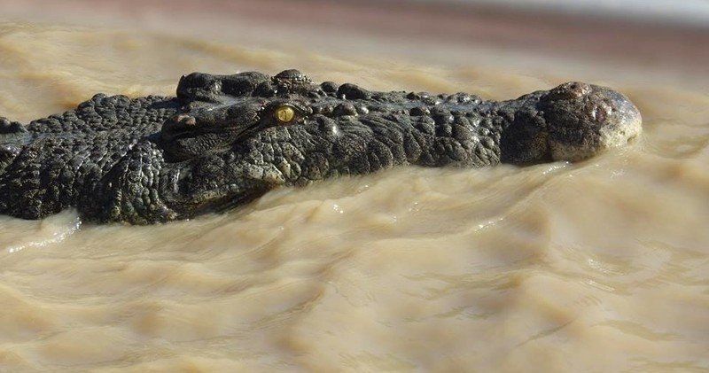 Aboriginal Cultural Tours, Darwin NT - Pudakul Cultural Tours