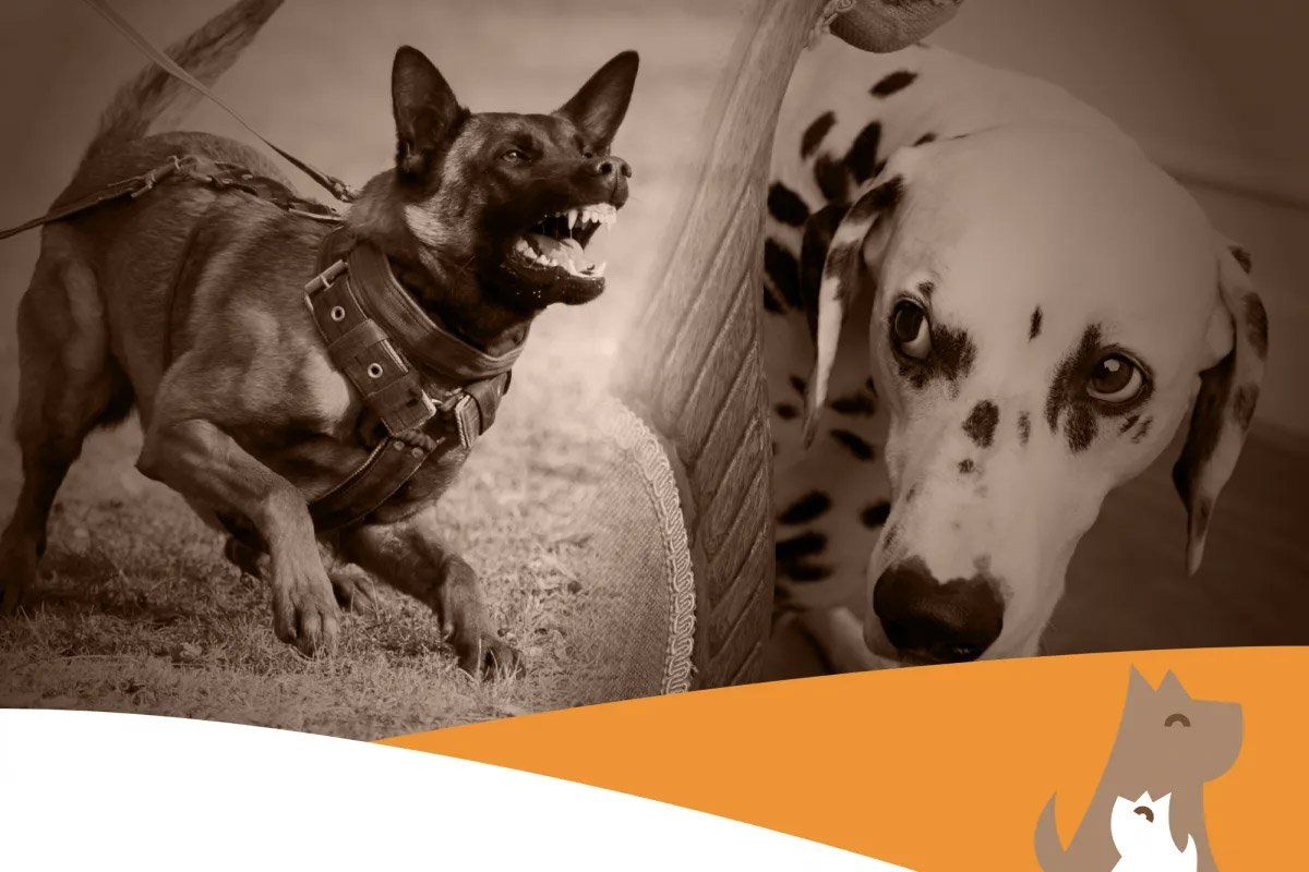 Reading your dog’s subtle body language signals – nervousness to aggression