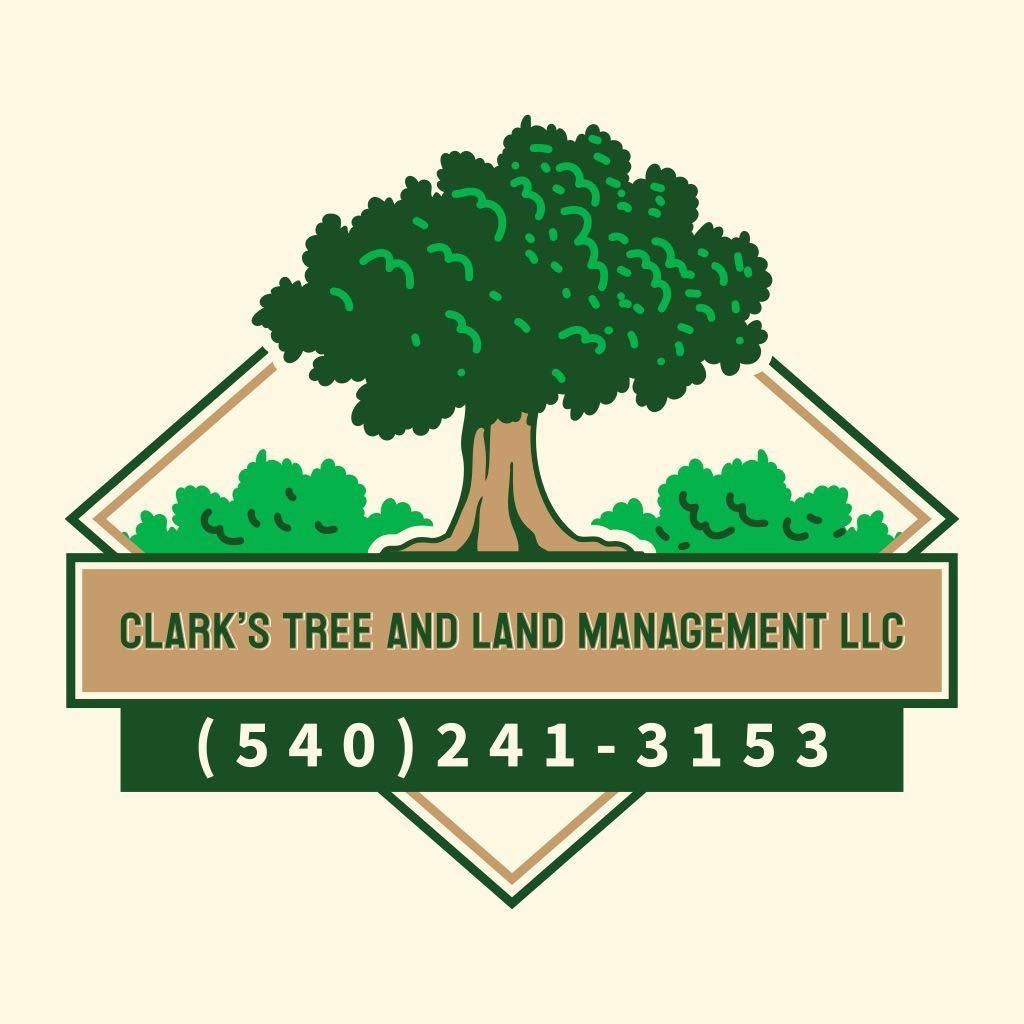 Tree Care – Waynesboro, VA – Clark’s Tree and Land
