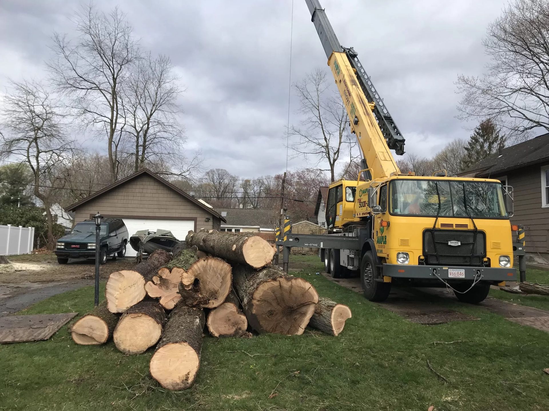 Contact Maple Tree Services | Worcester MA Tree Experts