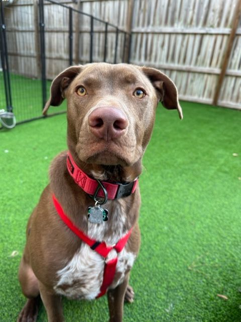 View Our Gallery | Augusta, GA | The Hamptons of Grovetown