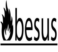 Besus Betriebliche Sicherheitsunterweisungen Scharf