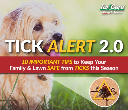 Tick Alert 2.0 - 10 IMPORTANT TIPS to Keep Your Family & Lawn Safe from ...