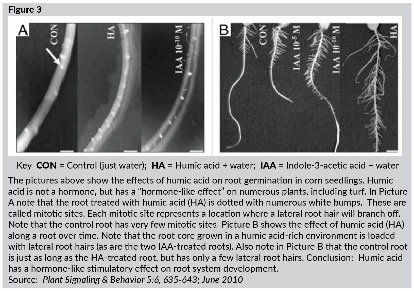 TurfCare™ Academy: The Science Behind Humic Substances