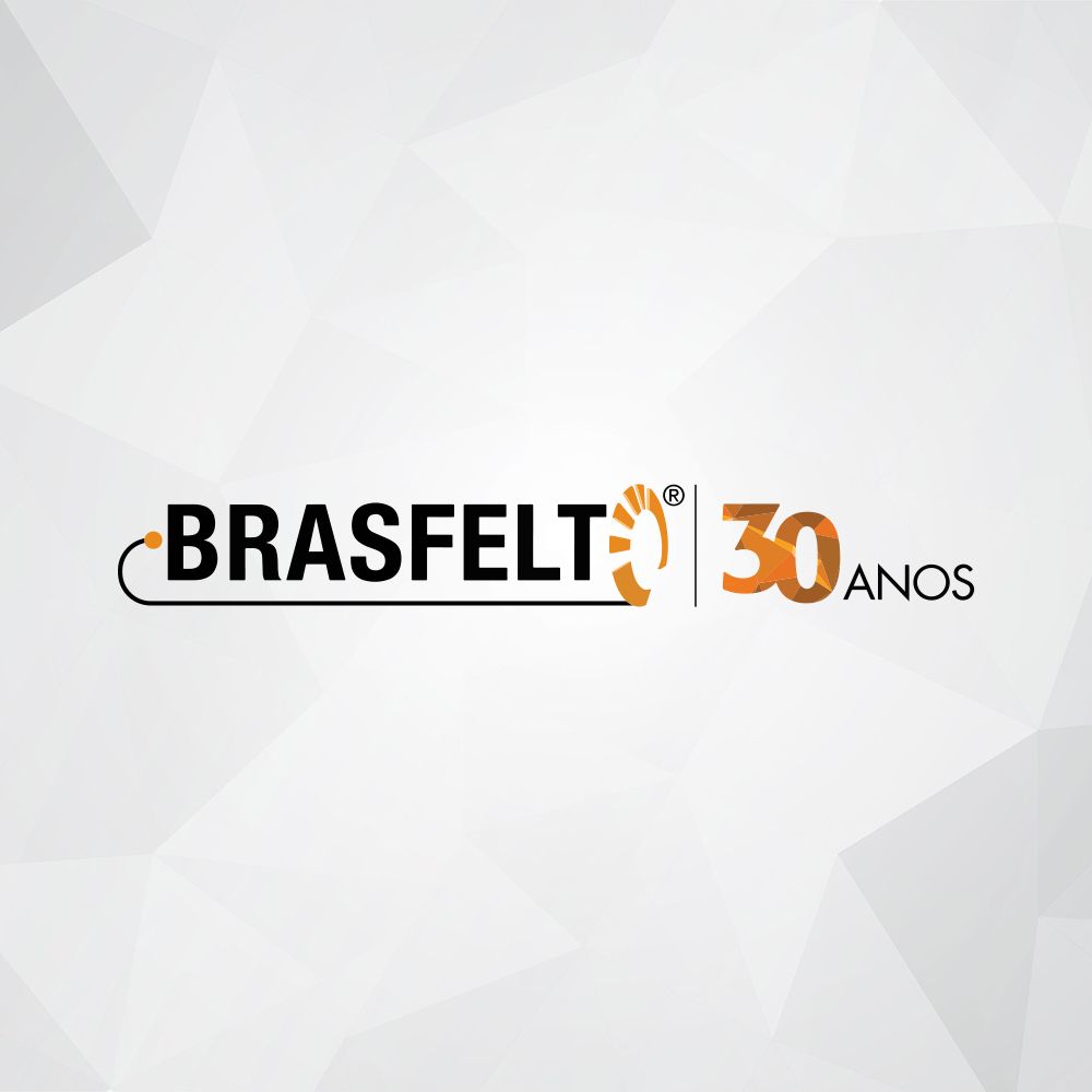 Filtragem de disco a vácuo para minério de ferro | Brasfelt